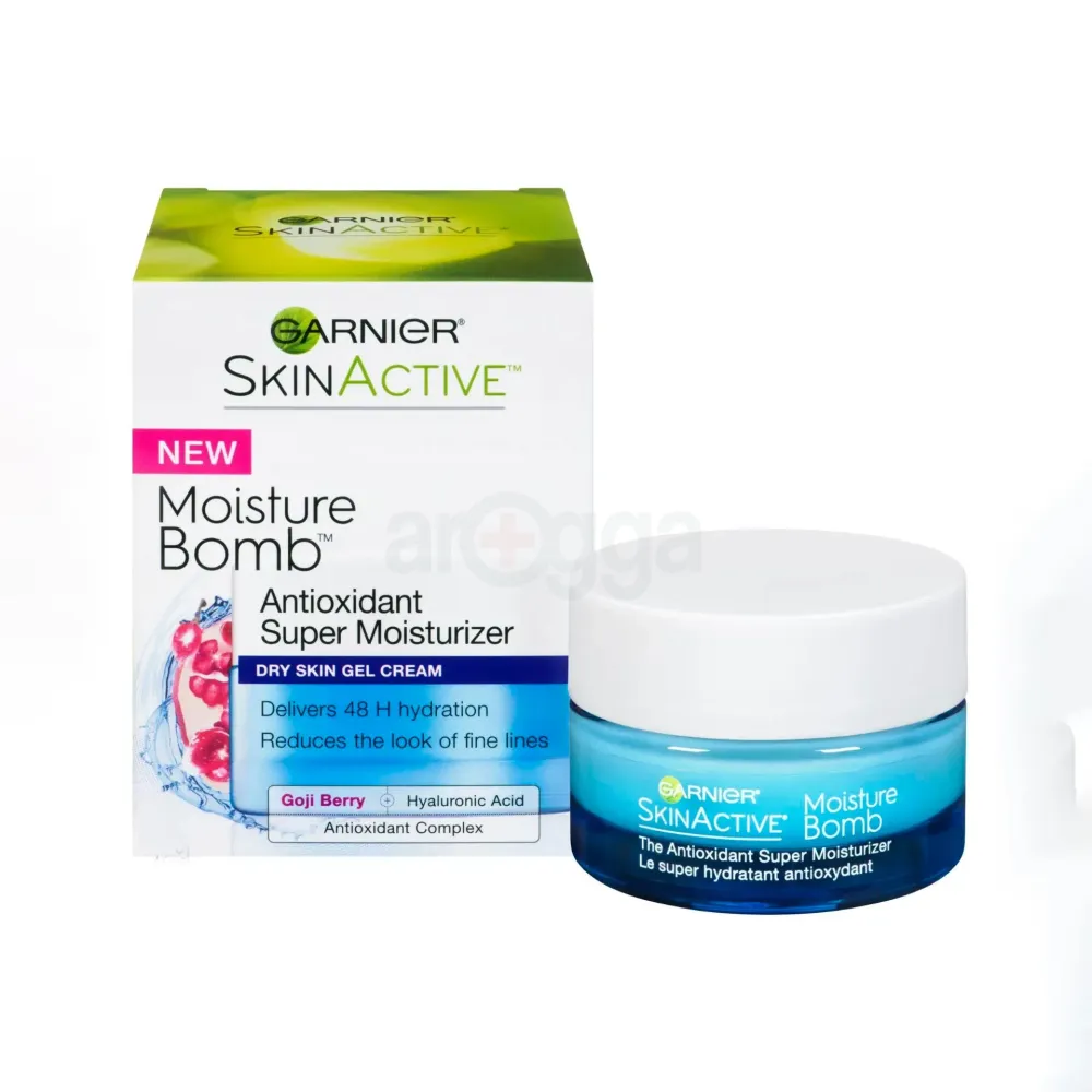 Garnier SkinActive Moisture Bomb Antioxidant Super Moisturising Cream ...