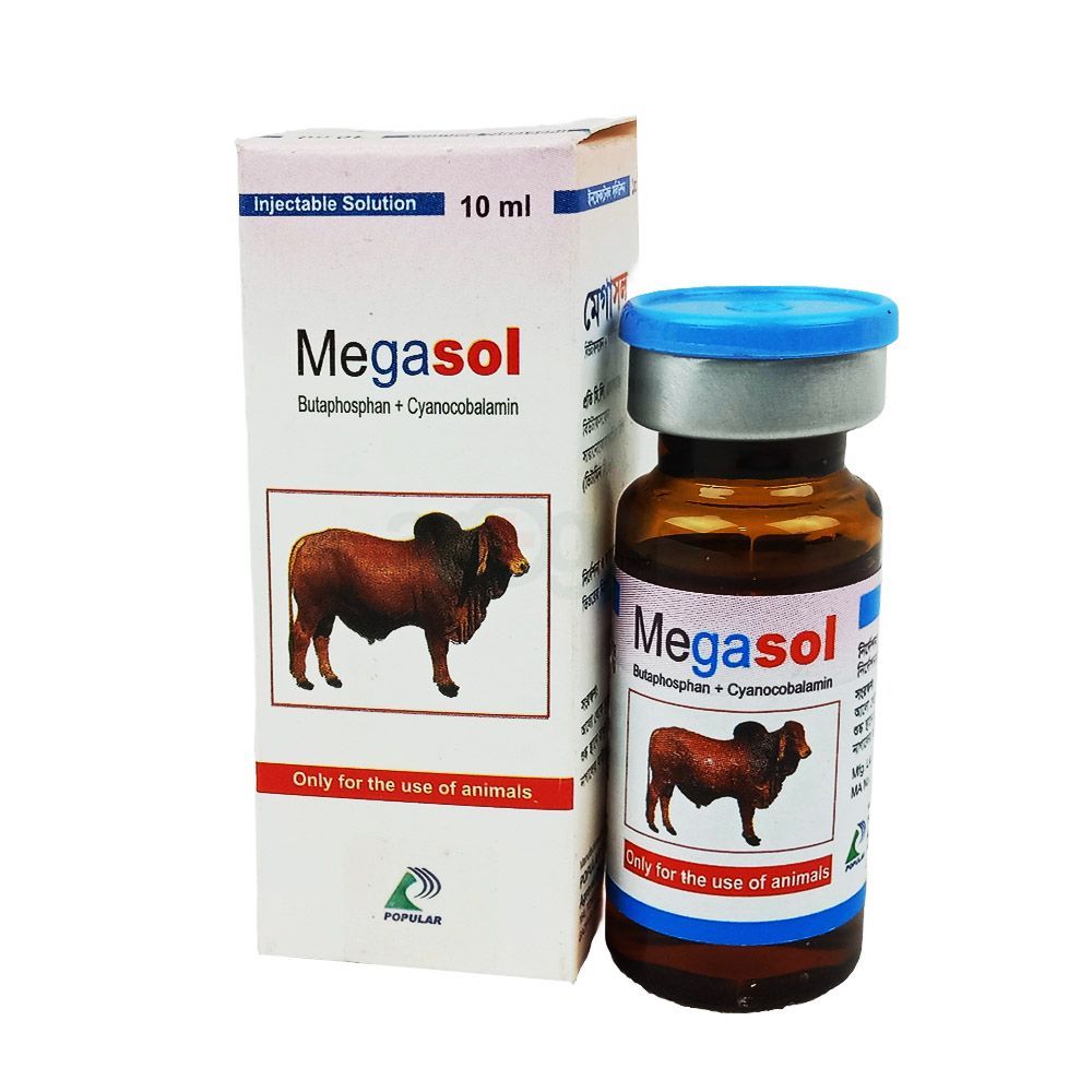 Megasol Injectable Solution 10ml price in Bangladesh | Arogga