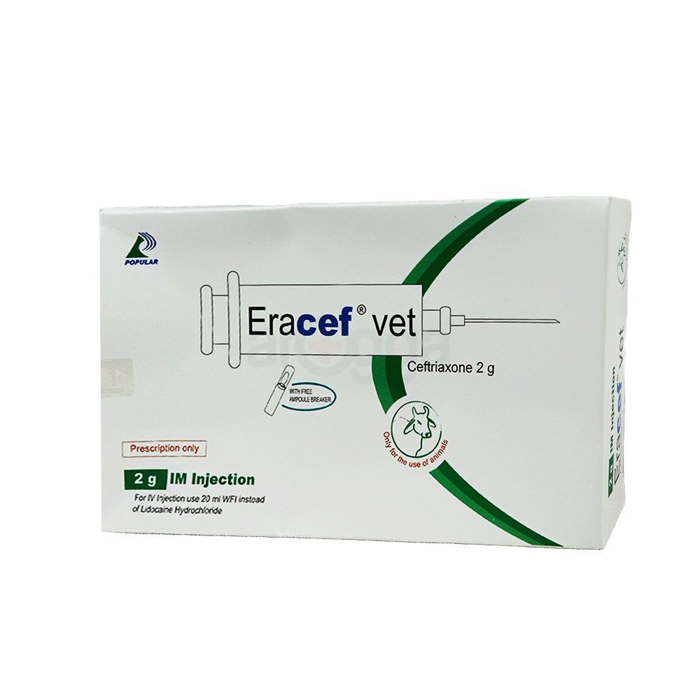 Eracef Vet 2gm IM - Arogga Online Pharmacy