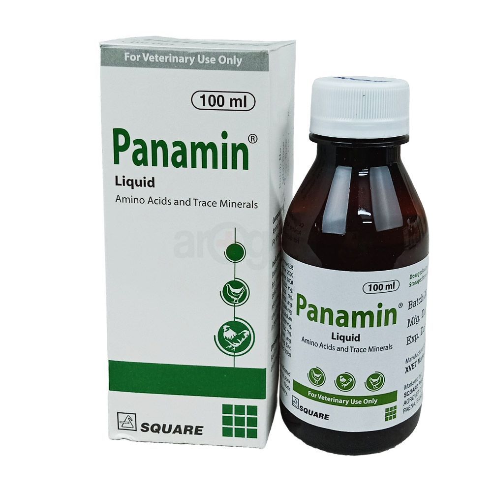 Panamin Liquid 100ml - Arogga Online Pharmacy