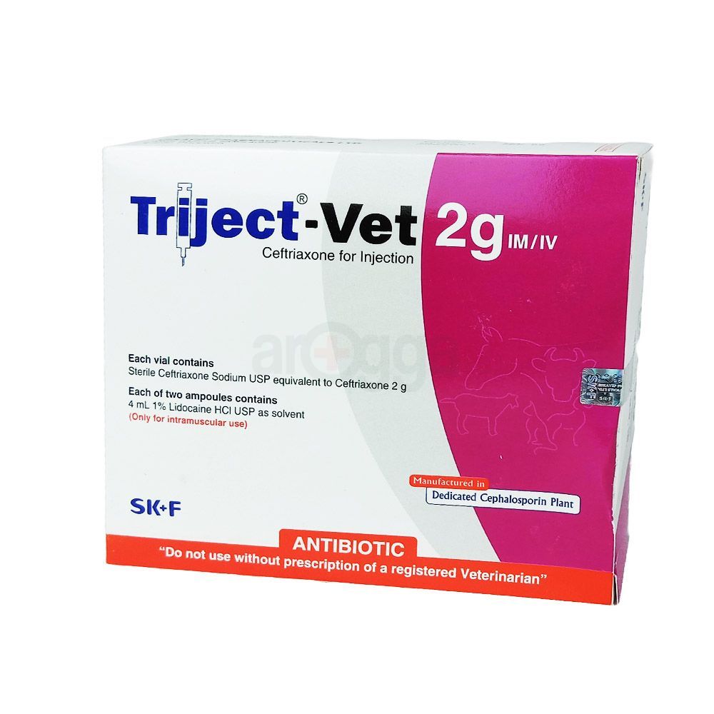 Triject-Vet 2gm IM/IV - Arogga Online Pharmacy