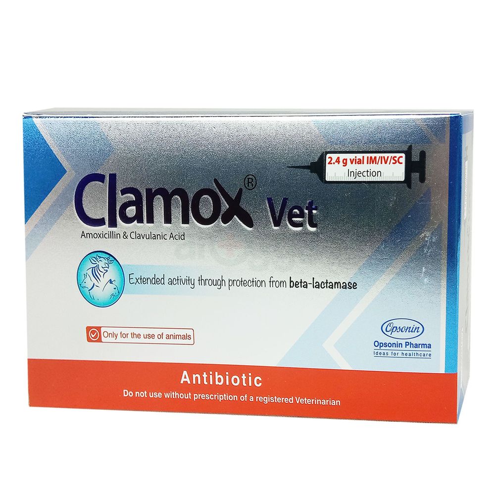 Clamox Vet IM/IV 2.4gm - Arogga Online Pharmacy