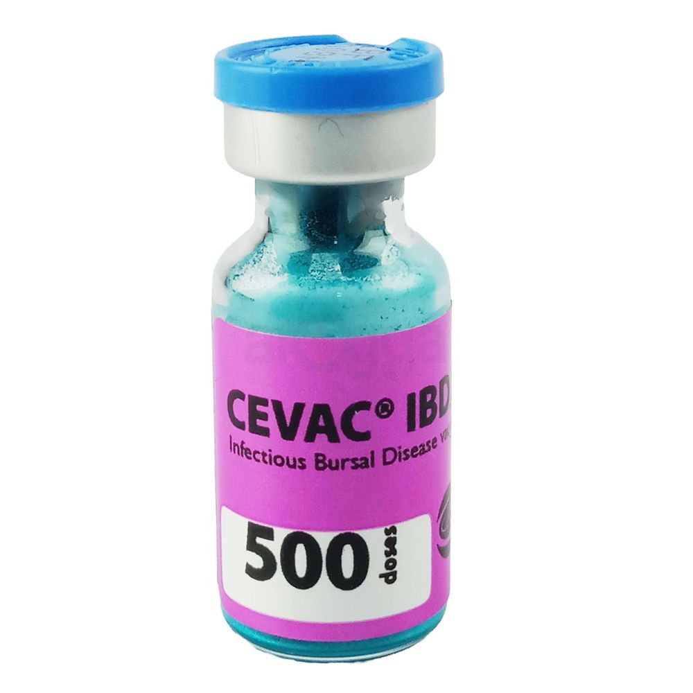 Cevac IBDL 500d - Arogga Online Pharmacy