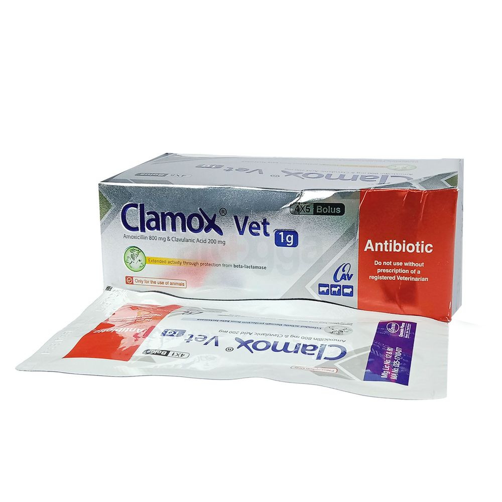 Clamox Vet 1gm - Arogga Online Pharmacy