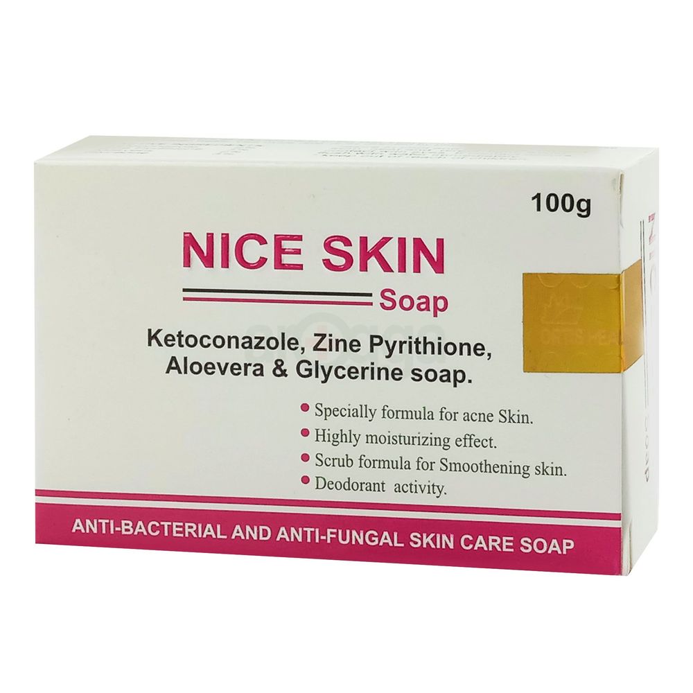 Nice Skin Soap 100gm soap - Arogga Online Pharmacy