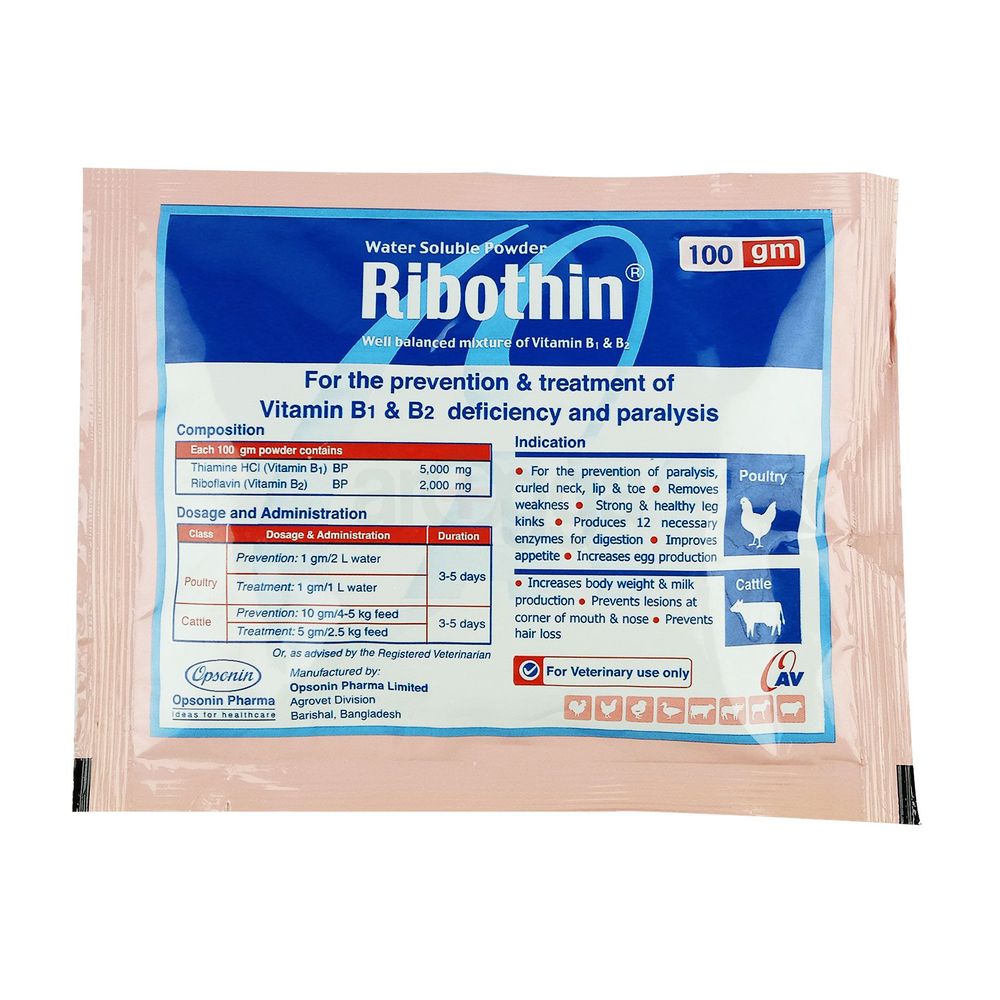 Ribothin 100gm WSP Sachet - Arogga Online Pharmacy