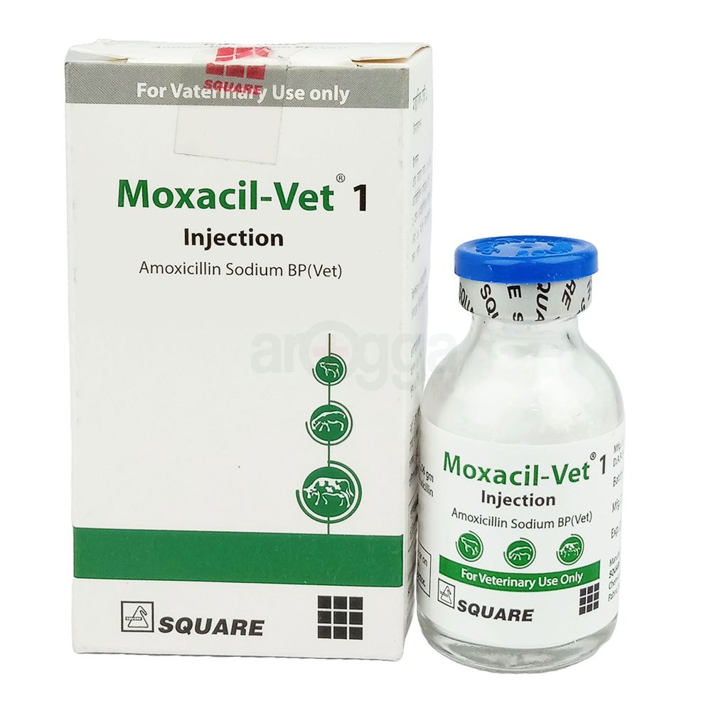 Moxacil-Vet 1 - Arogga Online Pharmacy