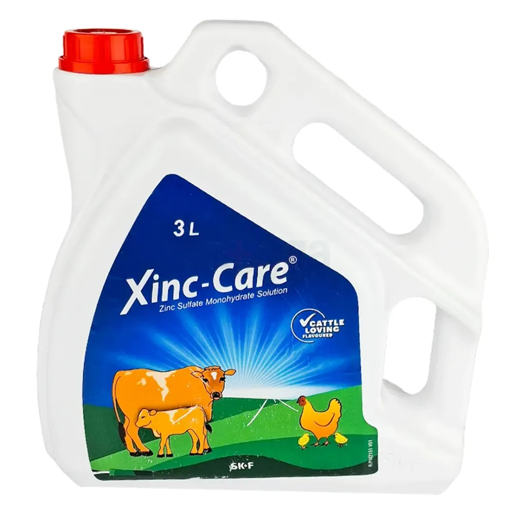 Xinc-Care 3 Liter - Arogga Online Pharmacy