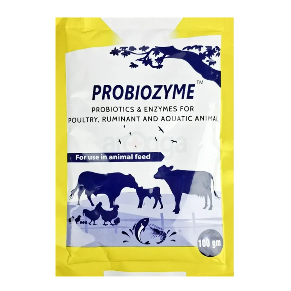 Probiozyme 100gm - Arogga Online Pharmacy