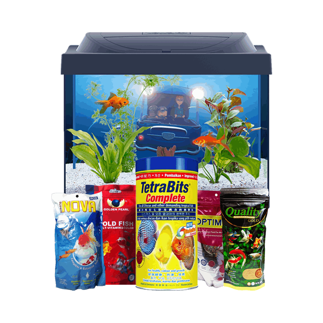 Aquarium Fish Accessories | Arogga - Pet-care