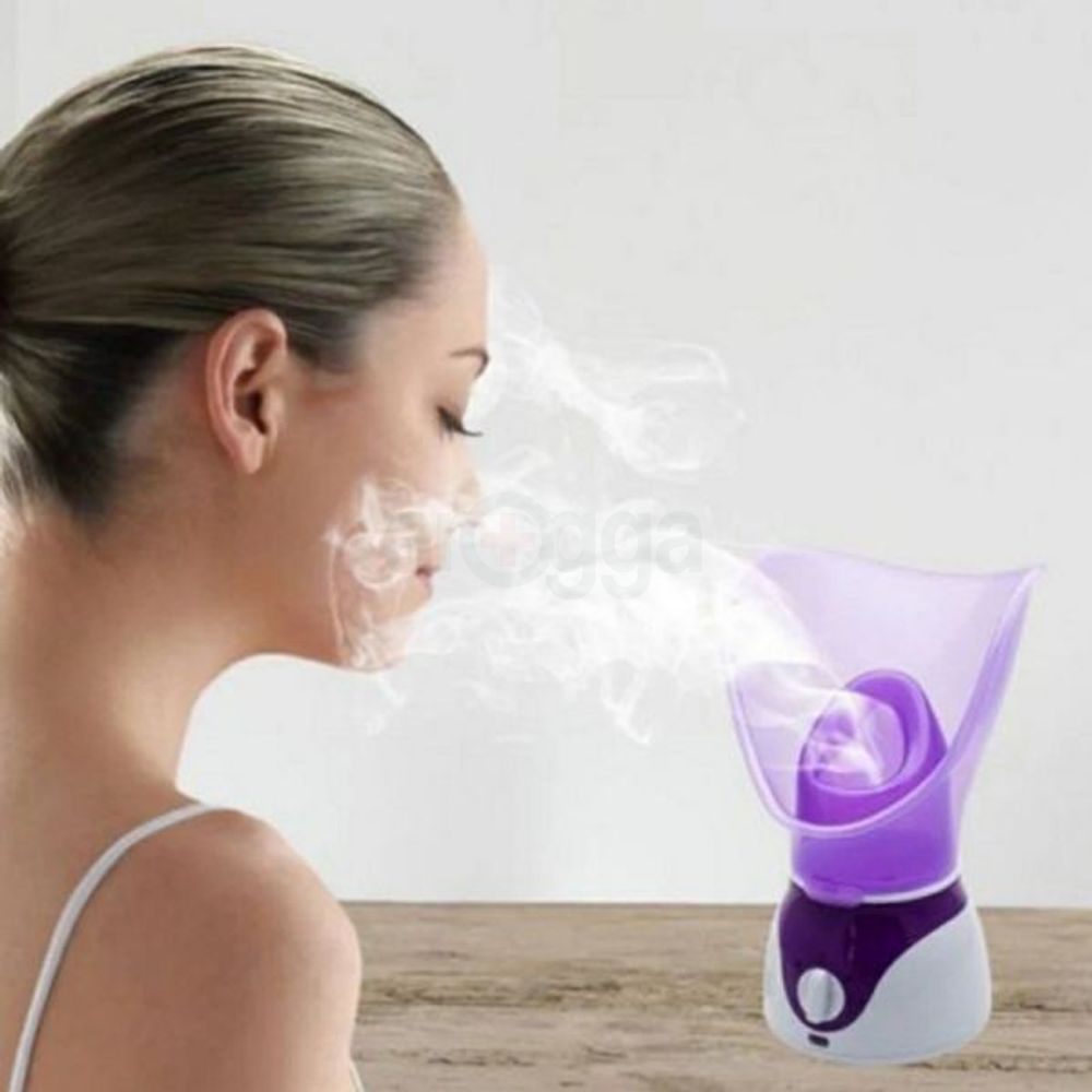 NTFS Beauty Facial Steamer -Thermal Spa Nano Aromatherapy Steam Machine ...