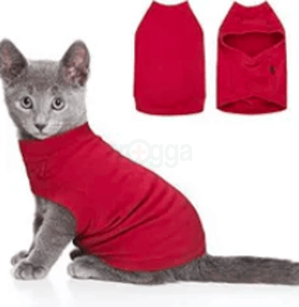 Cat Sweater Blue - Small Piece Small Cat Wear - Arogga Online Pharmacy