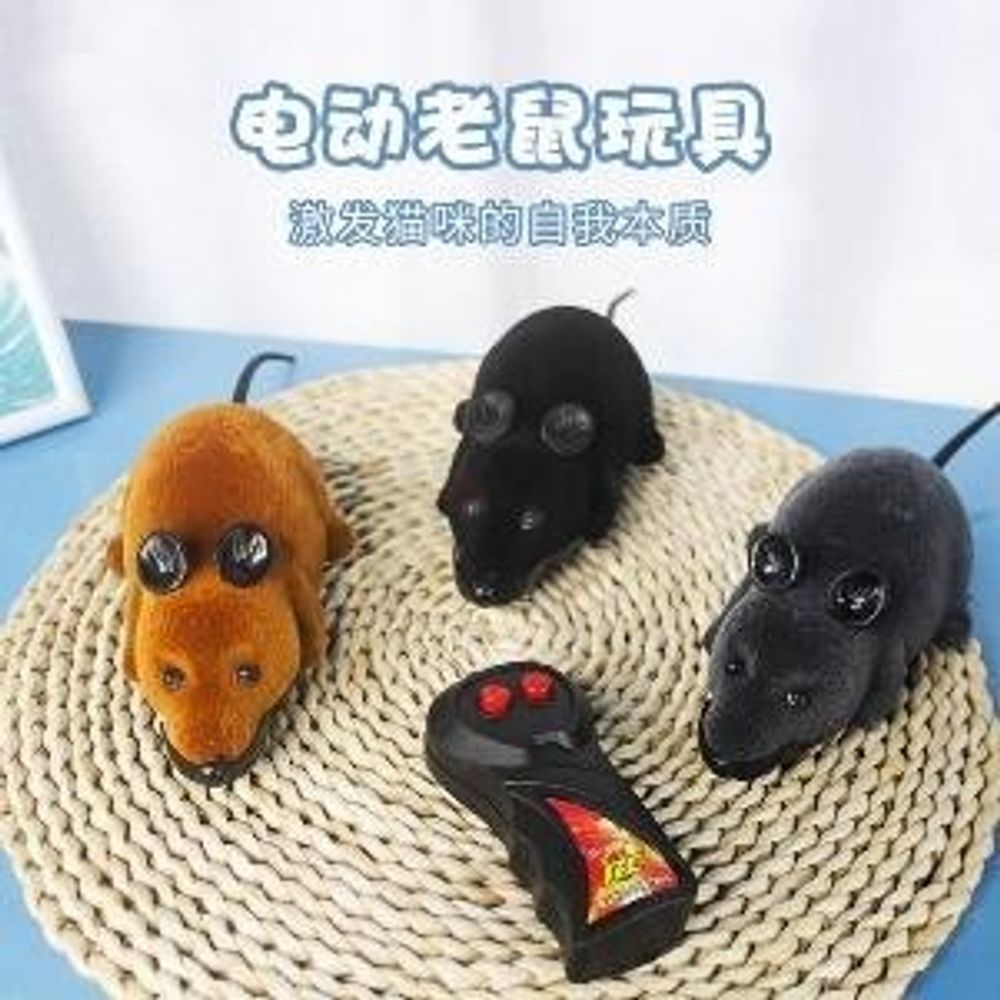 Remote Controlled Mouse Toy - Arogga Online Pharmacy